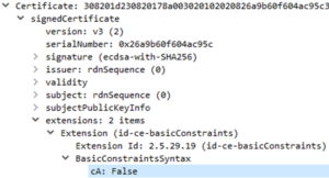 X.509 CA:FALSE Testing | Lightship Security